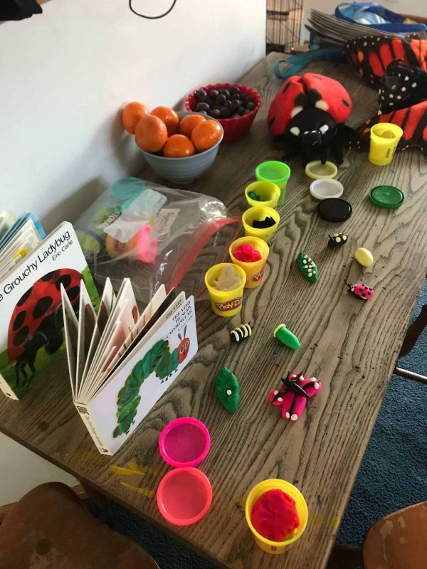 Life Cycle of Insects: 4 Fun Insect Life Cycle Activities and Books for ...