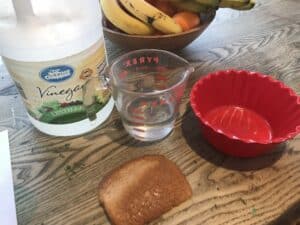 Digestive System Experiment: Fun Hands on Digestive System Experiment ...