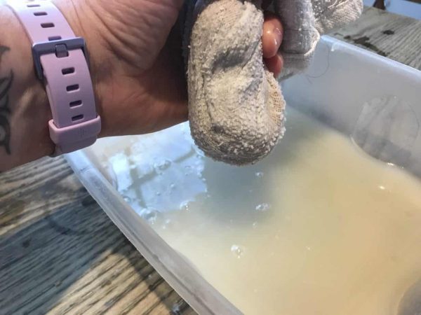 Digestive System Experiment: Fun Hands on Digestive System Experiment ...