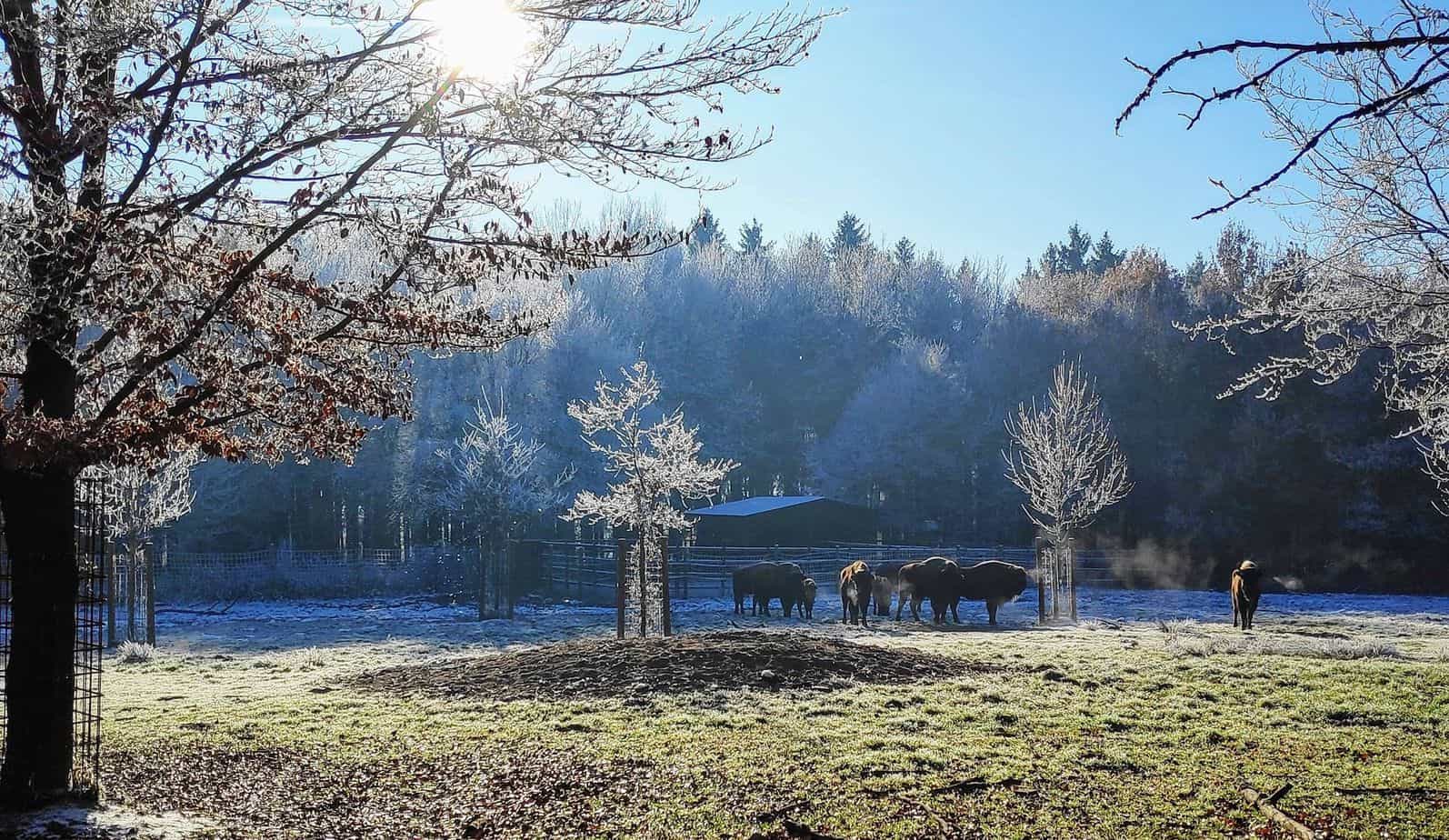 Best Day Trips from Munich Germany: 12 Munich Day Trips you’ll adore ...
